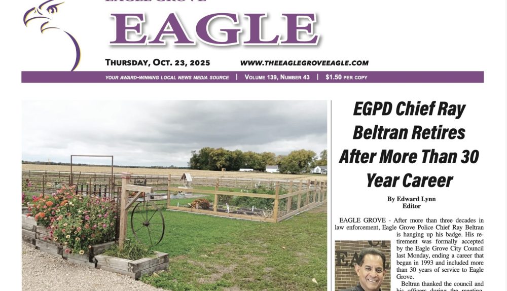 Eagle Grove Eagle