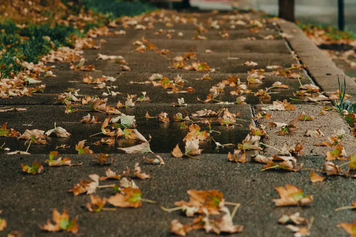 City Forms Pedestrian Planning Advisory Committee - Eagle Grove Eagle