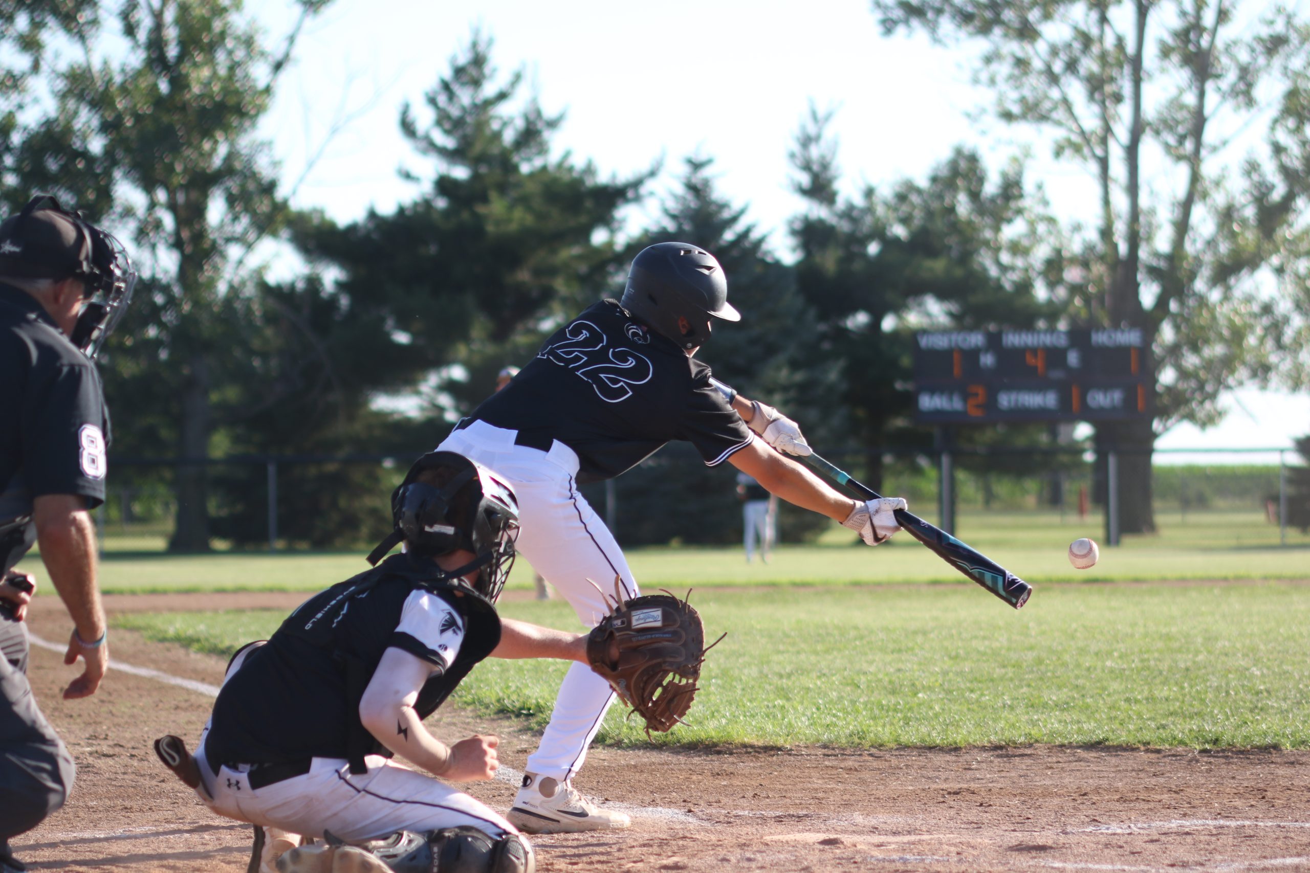 Panthers go 2-2 in final full week - The News-Review